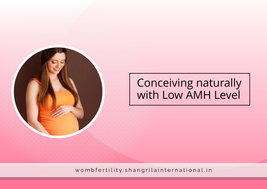 Natural pregnancy with low AMH – The Womb Fertility Treatment