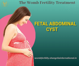 What Is Fetal Abdominal Cyst? – The Womb Fertility Treatment
