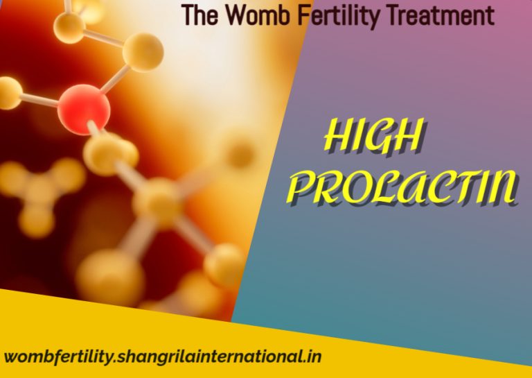 HIGH PROLACTIN – The Womb Fertility Treatment