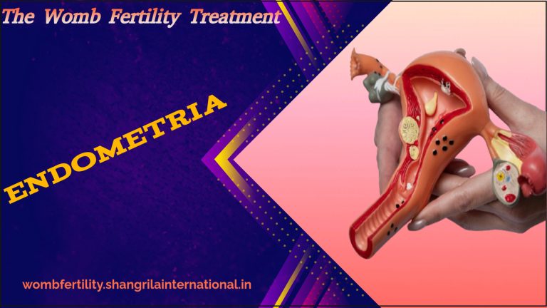 What is Endometria – The Womb Fertility Treatment